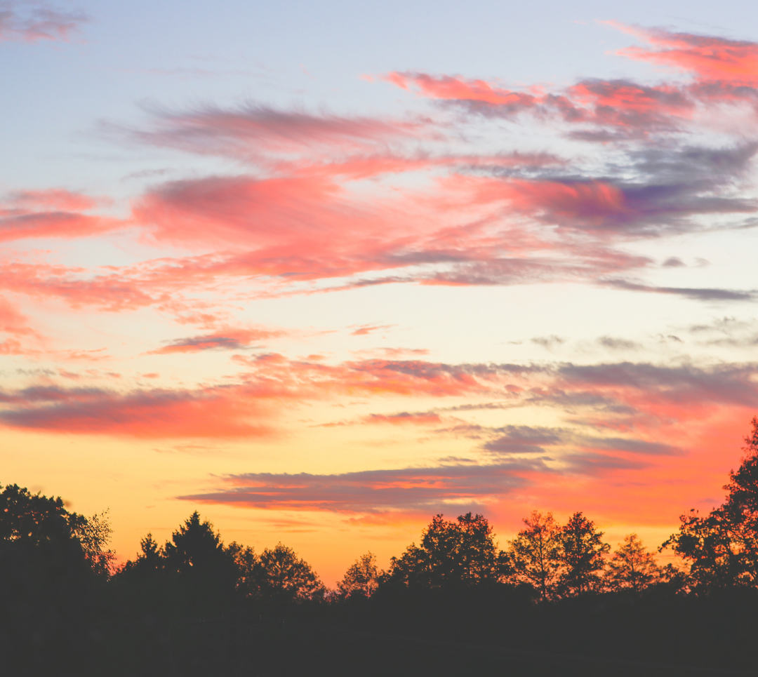 Ling Gui Zhu Gan Tang - Inner Strength Acupuncture